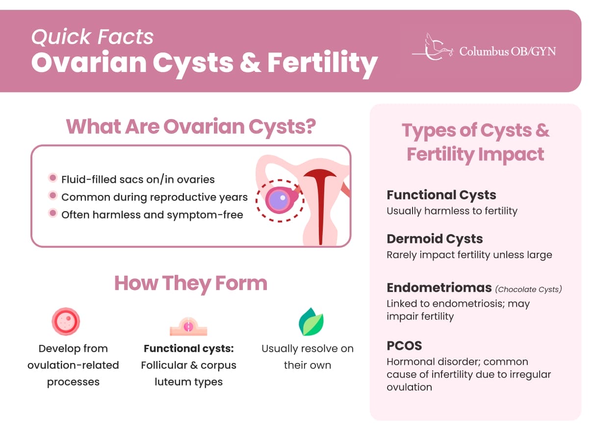 Can Ovarian Cysts Cause Infertility? Understanding Your Fertility Journey